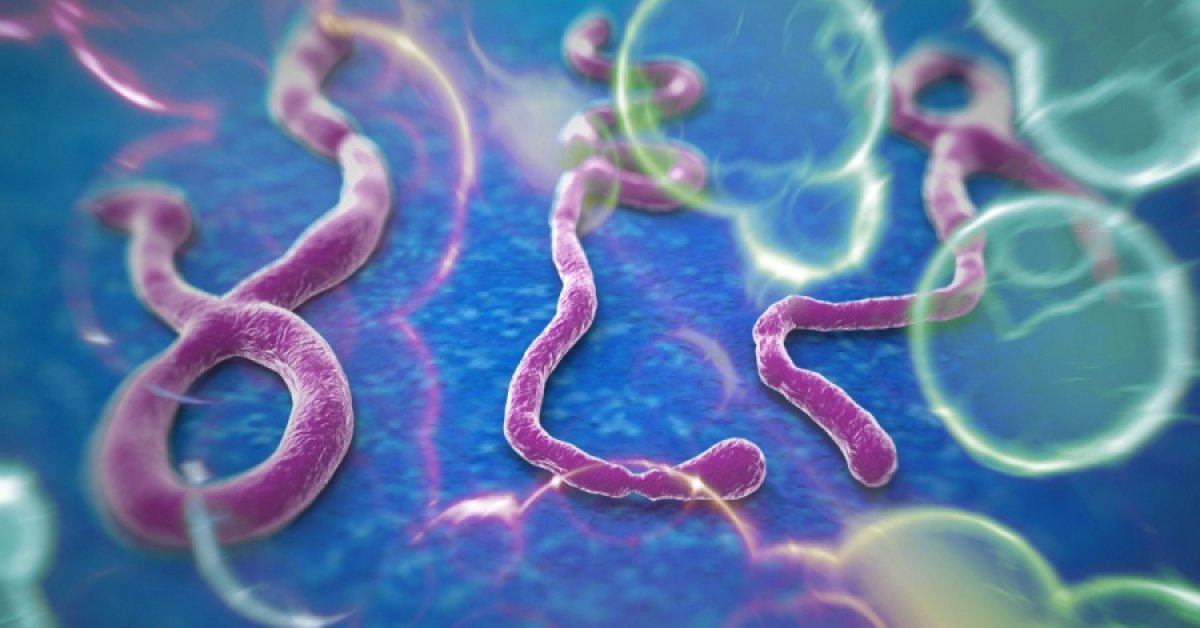 RS investiga caso suspeito de Ebola - Tua Rádio
